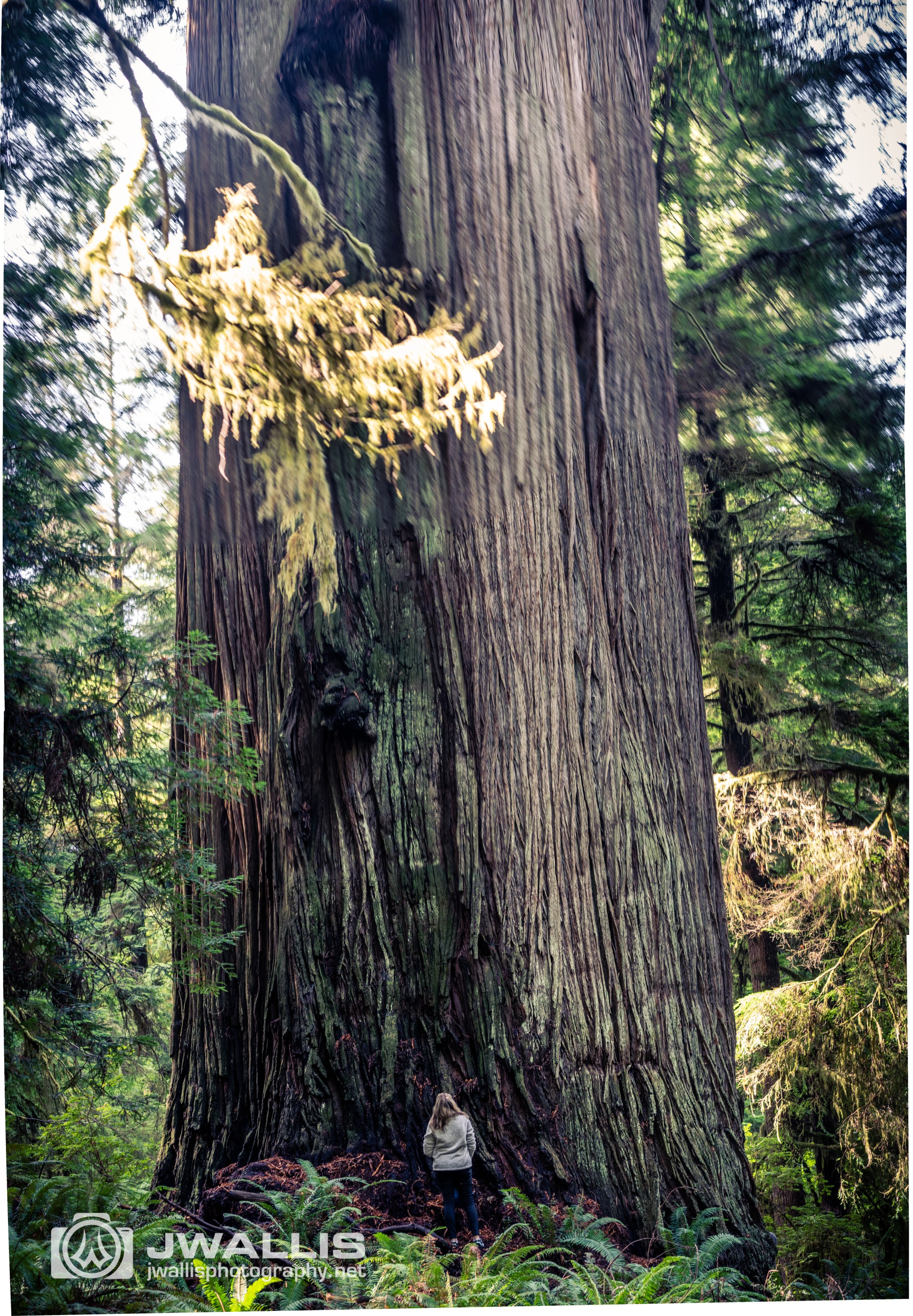 Perspective Matters – JWallis Photography