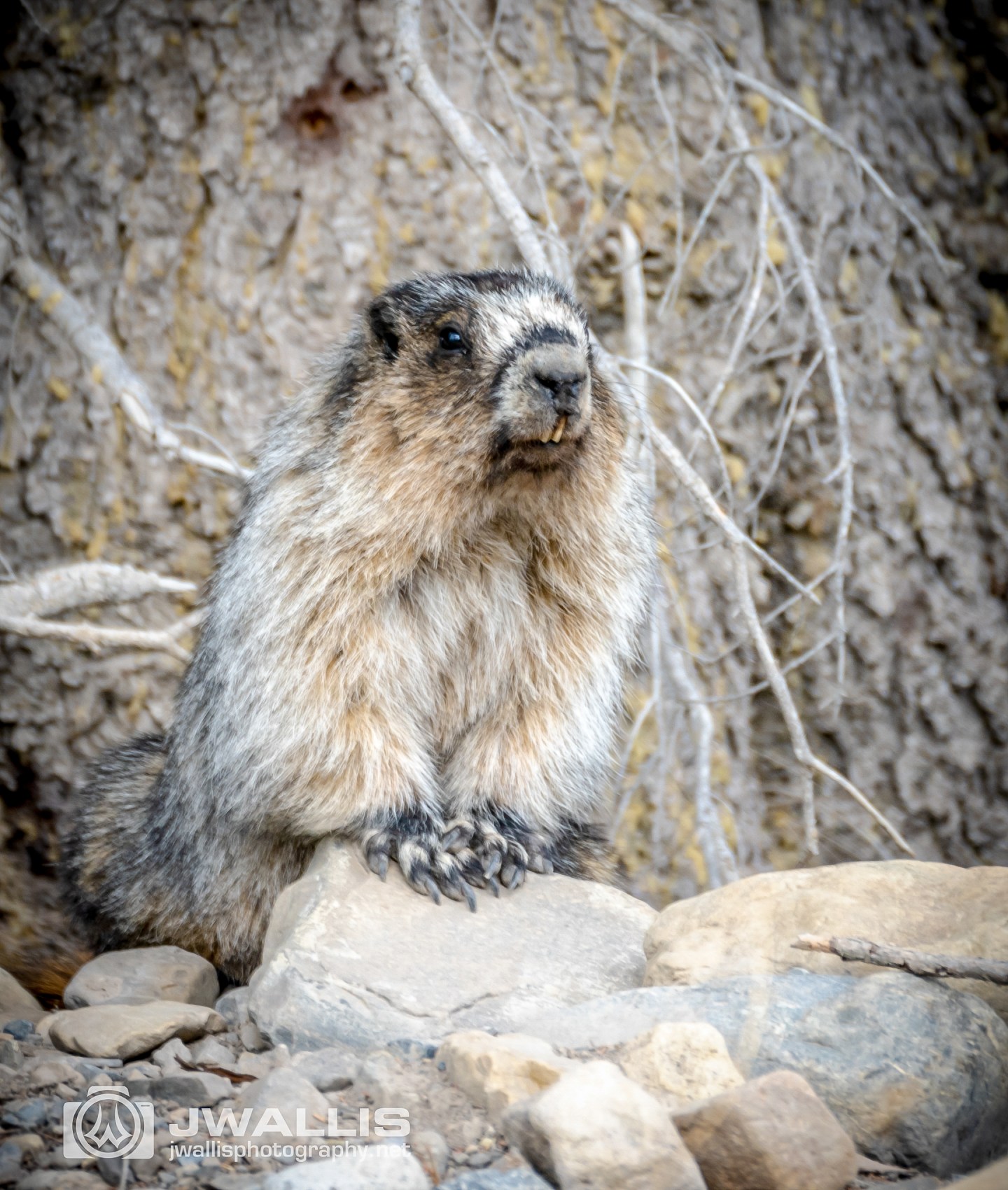 Scared Stiff – JWallis Photography